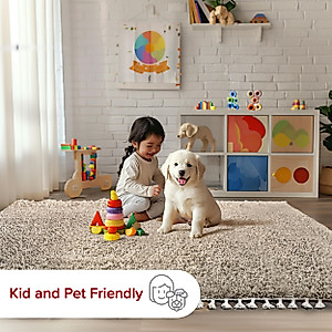 nuLOOM Neva Modern Tasseled Shag Area Rug, 5' Round, Beige