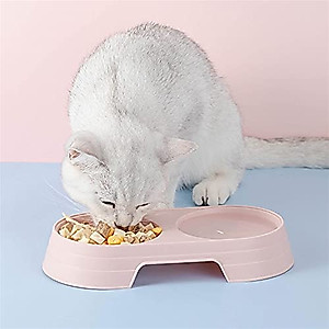 FUUIE Bowls for Food and Water Double Bowl for Household Pets, Suitable for Cats and Dogs, with Rounded Curves, Simple to Clean, Durable and Anti-Drop (Color : Blue)