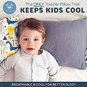 Pharmedoc Little Garoo Sleeping, Travel, Mini Polyester Pillow with Pillowcase for Toddler 14x19, 1 Count (Pack of 1), Grey Cooling