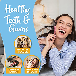 VetWipe Dog Teeth Cleaning Finger Wipes - Easy Cats & Dogs Dental Care Toothbrush and Tooth Brushing Kit, Freshen Bad Breath, Reduces Plaque - 50 Count