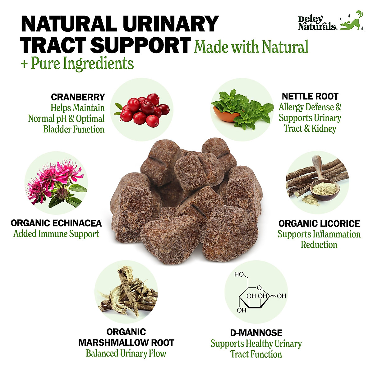 Deley Naturals Dog UTI Prevention - 120 Grain Free Soft Chews - Incontinence, Bladder, Kidney & Immune System Support - Cranberry Pills - D-Mannose & Echinacea - Made in USA - Natural Chicken Flavor