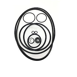 Southeastern O-Ring Seal Repair Rebuild Kit for Pentair Challenger High Flow High PSI Waterfall Pump