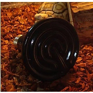 110V Ceramic Emitter Heat Lamp Grow Plant Lamp Zoo Turtle Pet Reptile Heater 200W Watts (Black)