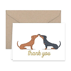Paper Frenzy Dogs Puppies Thank You Note Card Collection 25 pack with Kraft Envelopes