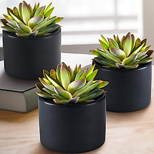 SEEKO Succulents Artificial Succulent Plants in Ceramic Pots (3 Pack) Faux Potted Plant Décor, Black Bathroom Décor, Home Décor Gifts, Small Fake Desk Plant for Home Office, Kitchen or Book Shelf