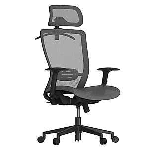 FLEXISPOT OC3B Ergonomic Executive Mesh Office Chair Swivel Height Adjustable Seat Headrest Armrest Lumbar Support Caster Wheels Task Chair Gray Mesh Seat Computer Office Desk Chair