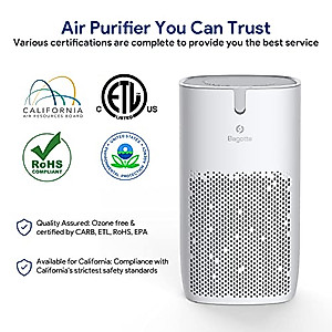 Air Purifier for Home Large Room, Bagotte 4-in-1 H13 HEPA Filter Air Purifier up to 1725 ft² in 60 Min, 24dB Quiet 4 Speeds 6 watts Sleep Mode Energy Saving, Remove 99.97% Dust Smoke Odor Ozone Free