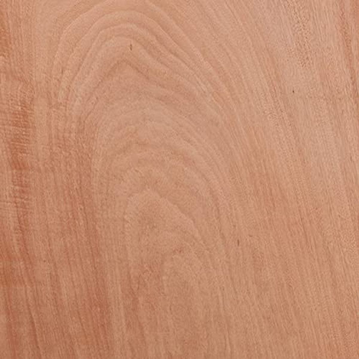 Flash Furniture Fielder 6' Rectangular All-Occasion Wood Folding Event Table, Foldable Portable Banquet Table with Wooden Top, Natural/Black