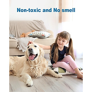 10 Pack Flying Insect Trap Refill Compatible with Mosalogic UVA Fly Insect Trap, Replacement Sticky Glue Cards for Kiwinurse UVLA1001 Plug-in Mosquito Killer Indoor