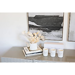 Aroma360 - Dream On - Paris Collection Candle Trio - Luxury Scented Candles with Essential Oils - White Tea, Sweet Vanilla & Earthy Cedar - Aromatherapy - Soy Candles - 80hr Burn - 11 oz - Set of 3