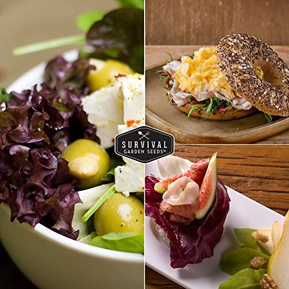 Survival Garden Seeds - Lolla Rosa Lettuce Seed for Planting - Packet with Instructions to Plant and Grow Red and Green Leaved Lettuce in Your Home Vegetable Garden - Non-GMO Heirloom Variety