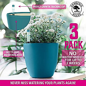 GARDENIX DECOR 7'' Self Watering planters for Indoor Plants - Flower Pot with Water Level Indicator for Plants, Grow Tracking Tool - Self Watering Planter Plant Pot - Coco Coir - Teal 3 Pack