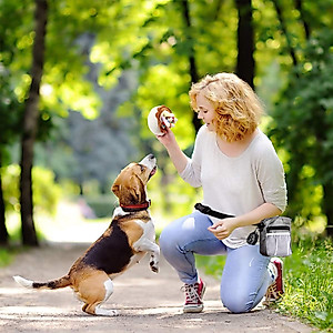 STMK Dog Treat Pouch Dog Clicker Training Kit, Dog Training Treat Pouch Dog Clicker for Training, 3 Ways to Wear Easily Carries Treat Pouches for Pet Training (Grey)