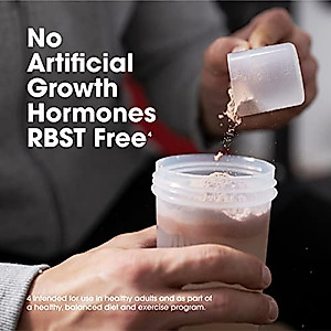 Optimum Nutrition Serious Mass Weight Gainer Protein Powder, Vitamin C, Zinc and Vitamin D for Immune Support, Chocolate, 6 Pound (Packaging May Vary)