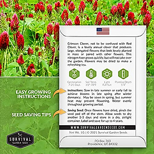 Survival Garden Seeds - Crimson Clover Seed for Planting - Packet with Instructions to Plant and Grow Lovely Flowers that also are a Cover Crop in Your Home Vegetable Garden - Non-GMO Heirloom Variety