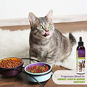 UroMAXX Urinary Tract, Kidney & Bladder Formula for Cats and Dogs, 6 oz Bottle. Premium Pack