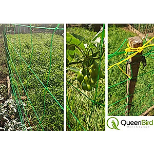 QueenBird Trellis Netting - Heavy Duty Garden Trellis Netting for Climbing Plants - 5.9 Feet X 16.4 Feet -Very Strong Support for Vegetables, Clematis, Cucumber,Tomatoes and Vine Plants