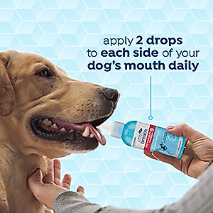 Fresh Breath Certified Wellness Collection Vet Strength Oral Care Clean Teeth Gel, 4oz - Freshens Dog Breath - Removes Plaque & Tartar - Cleans Teeth - Dog Dental Care - No Brushing Required