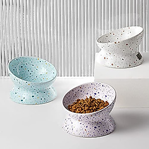 Y YHY Elevated Cat Bowls Anti-Vomiting, Tilted Raised Cat Bowl, Ceramic Cat Bowls for Flat Faced Cats, Small Dogs, Protect Pets Spine, Dishwasher and Microwave Safe
