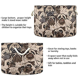 MNSRUU Storage Basket 20"x14" Vintage Cute Pug Dogs Collapsible Organizer Basket with Handles, Fabric Nursery Laundry Basket Large Capacity