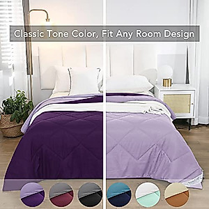 Seward Park Full/Queen Size Reversible Comforter Kids Lightweight Microfiber Fill Girls Bedding All Season Cooling Summer Bedspread Blanket Lavender Plum/Light Dark Purple