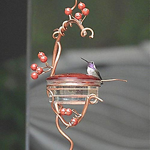 Hummingbird Feeder Pole, Courtyard Bird Feeder, Red Berries Hummingbird Feeder with Hole Birds Feeding Transparent Pipe, Courtyard Bird Feeder for Patio, Garden, Yard