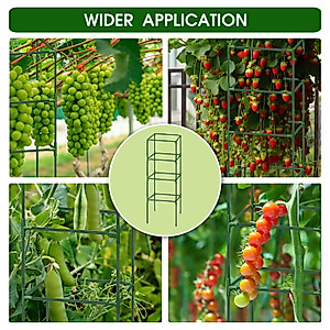 Hoyejyou 3 Pack Tomato Cages for Garden, 41.5 x 14 x 14 Inches Square Tomato Plant Support Pole, Heavy Duty Steel Plant Tower Stakes, Garden Cucumber Trellis for Climbing Vegetables Flowers Fruits