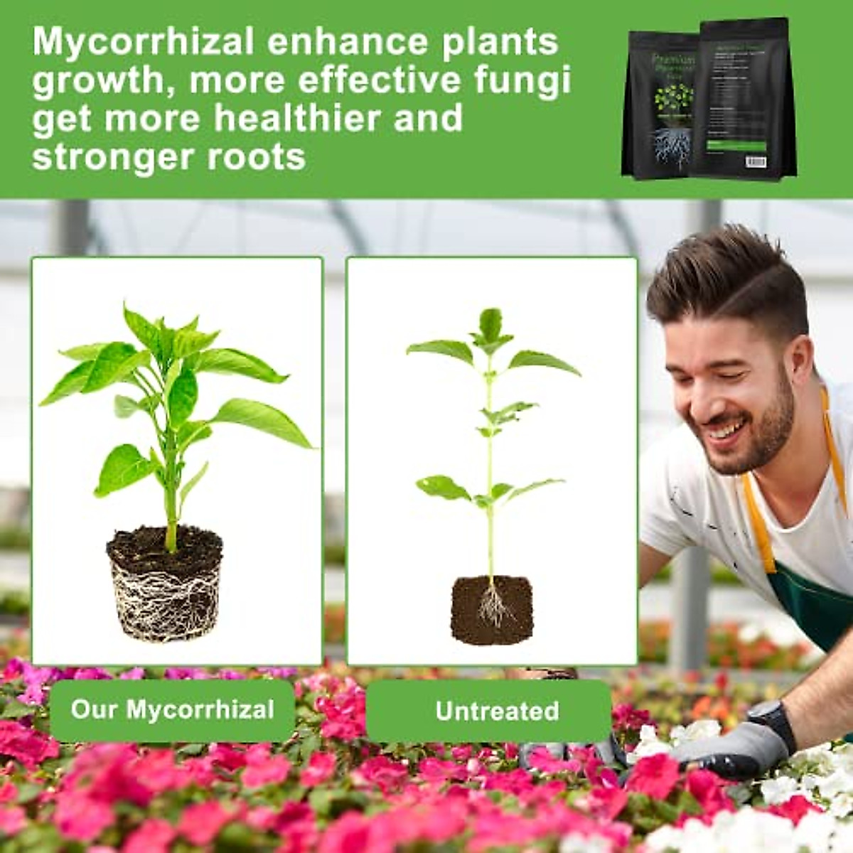 Hormone Root Fertilizer, Organic Fertilizer, Plant Fertilizer, All Purpose Indoor Plant Fertilizer(150g/5.3Oz)