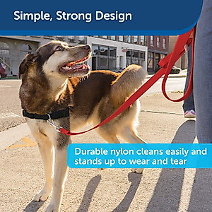 PetSafe Nylon Dog Leash – Strong, Durable, Traditional Style Leash with Easy to Use Bolt Snap – 3/4" x 6', Red