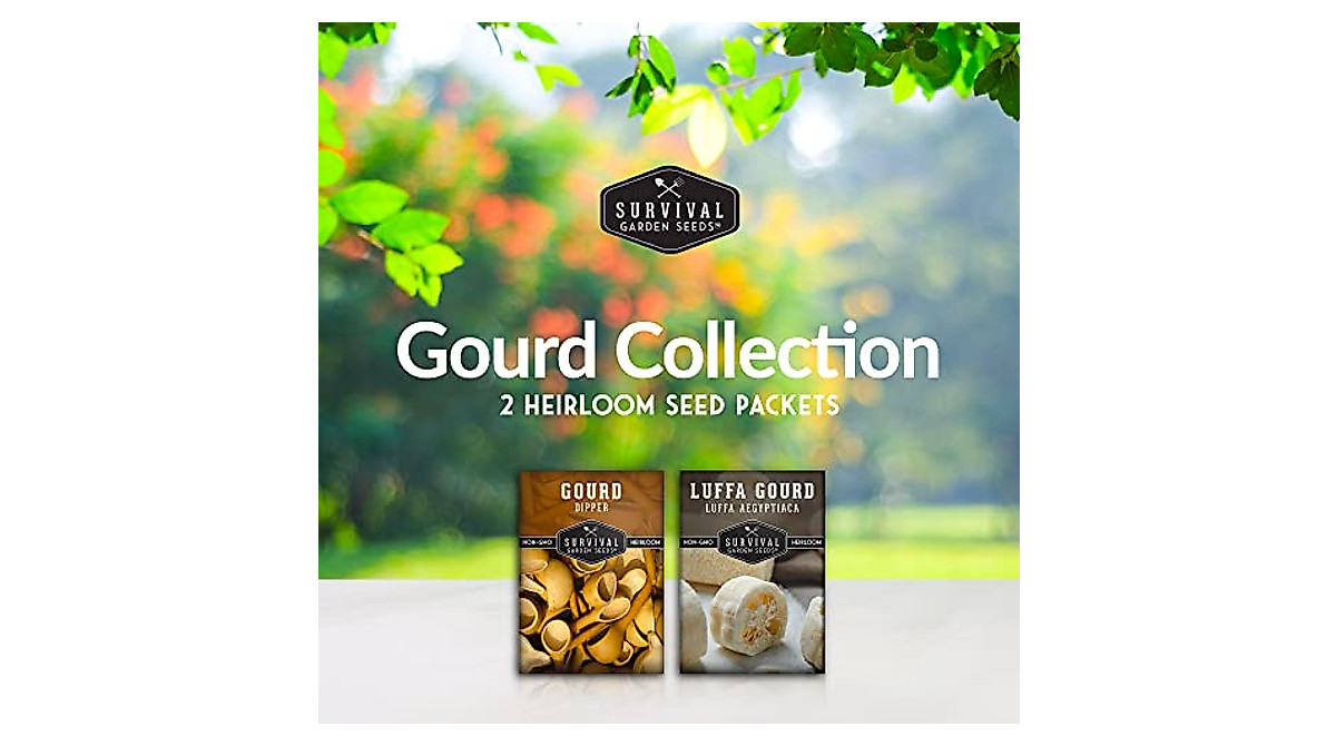 Grow Dipper & Luffa Gourds - Eco-Friendly Heirloom Seeds for Your Garden