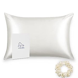 ALASKA BEAR Silk Pillowcase for Hair and Skin, Grade 6A 100% Mulberry Silk Pillow Cases Queen Size for Bliss Beauty Cool Sleep and Reduce Acne Better than Cheap Satin, Scrunchy Gift Set, Natural Ivory White