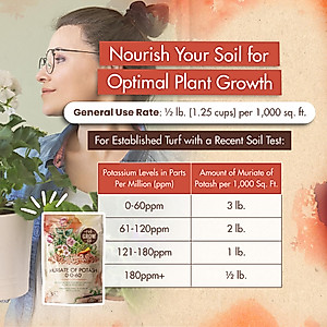 Muriate of Potash 0-0-60 Fertilizer, High Potassium Fertilizer for Plants, Ideal Plant Food & Potash Fertilizer for Plants - Boosts Growth of Turf, Shrubs, Trees, Flowers, Fruits & Vegetables, 5 lb