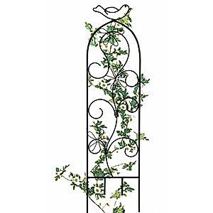 Hosley Set of 2 Iron Wave Pot Trellis 28 Inch High. Ideal Gift for Wedding or Party and Use Next to Structures Home or Office or in Planters for Growing Floral Plants Vines and Vegetables O4