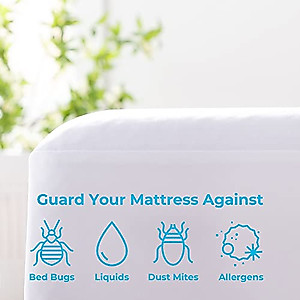 Linenspa Zippered Mattress Encasement - Waterproof & Bed Bug Proof - Premium Noiseless & Absorbent Cover – Queen, White