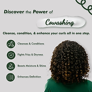 EDEN BodyWorks Coconut Shea Cleansing Cowash | 16 oz | Remove Build Up, Cleanse, Control Frizz & Soften Hair - Packaging May Vary