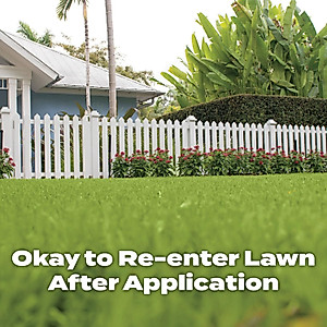 Scotts Turf Builder Southern Lawn Fertilizer for Southern Grass, 10,000 sq. ft., 28.12 lbs.