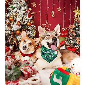 Waghaw Dog Christmas Bandana, 2 Pack Plaid Pets Bandana for Small Medium Large and Extra Large Dogs (Large, Red)