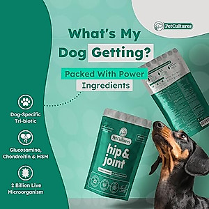 PetCultures Dog Arthritis Supplement with Glucosamine for Dogs Hip and Joint Supplement, Made in USA, 2 Bil CFU Probiotics, 6 Strains, Prebiotics, Chondroitin, MSM, Joint Support for Dogs