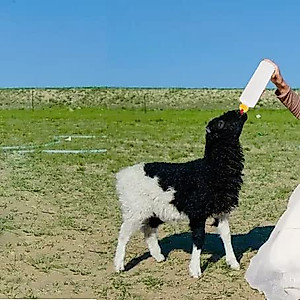 WoYous Goat Nipple and Bottles Set, 12 Pieces Small Animal Milk Drink Pritchard Nipple 2 Pieces 400 ml Lamb Feeding Bottle Kit for Feeding Sheep Goat Lamb Puppy (White 12)