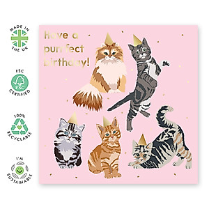Central 23 — Cute Birthday Card for Her - Cats 'Purrfect Birthday' - For Mom Wife Sister - Comes With Fun Stickers
