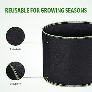 Delxo Garden Grow Bags 1 Gallon 10 Pack Plant Growing Bags Small Fabric Pots for Planting, Vegetable
