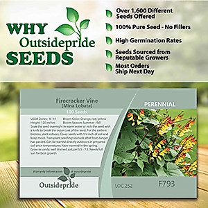 Outsidepride Mina Lobata Firecracker Flowering Vine Climbing, Trailing, Vining Plants - 100 Seeds