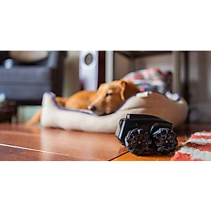 Moorebot Scout - Versatile Tiny AI Camera Robot, Pets/Elderly Watching/Security/Smart Home/Crawlspace Inspection, 1080P, Auto Patrol, Nightvision, Track Option, Indoor (2023)