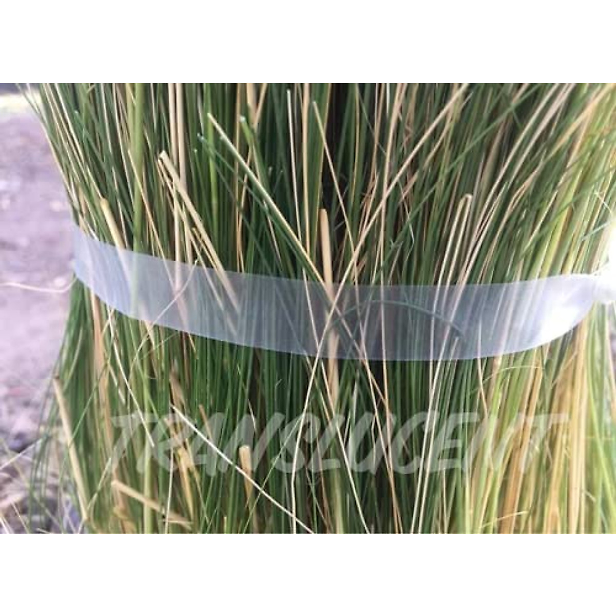 Clear Tie Tape 300 FEET x 1/2" Each Roll/Translucent Stretch Plant Ribbon Garden Vinyl - 3 Pack