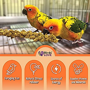 Birds LOVE Wholesome & Lovely Spray Millet GMO Free No Pesticide (No Stems Only Edible Tops) for Parrots Birds Cockatiel Lovebird Parakeet Finch Canary All Parrots Healthy Treat-1lb…