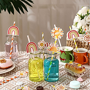 Perkoop 60 Sets First Trip Around the Sun Birthday Party Paper Straws Sun Themed Stripes Straws Rainbow Drinking Straws for Sun 1st Birthday Theme Party Baby Shower Favors Decorations