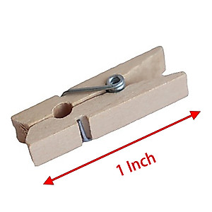 Mini Wooden Clothes Pins, 100pcs 1Inch (2.5cm) Small Wooden Chip Clips for Bag Clips Clothespin Clothes Pin Photo Pins (Wooden)