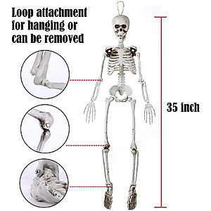 Sizonjoy 35" Posable Halloween Skeleton, Full Body Joints Plastic Skeleton with Movable/Posable Joints,Perfect for Halloween Haunted House Props Decorations Outdoor