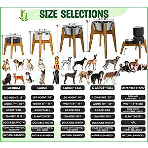 Dog Bowl Stand for Medium to Large Dog Breeds - 12-inch High, Adjustable Width with Locks - Dog Water, Food Dish Compatible - Tip-Over Resistant