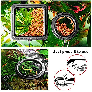 Cobee Fish Feeding Ring, 2 Pieces Aquarium Fish Feeder Fish Tank Food Feeder Circle Tank Accessories for Guppy Bettas Goldfish Turtle (Black)